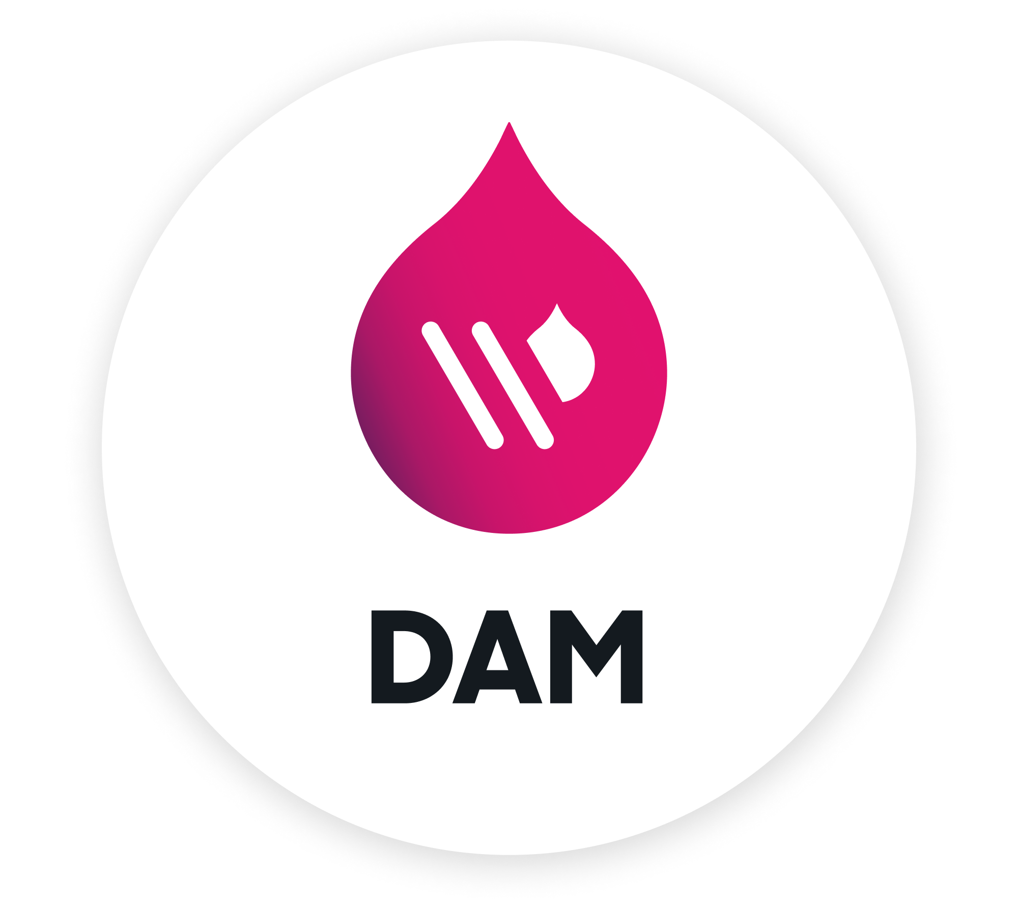 The DAM Capability Model | Acquia